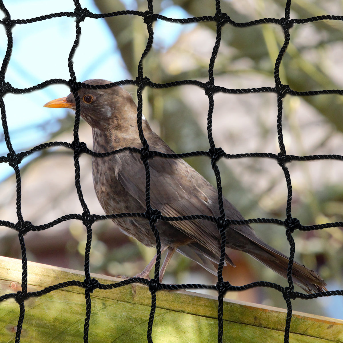 Animal Netting – Just For Nets